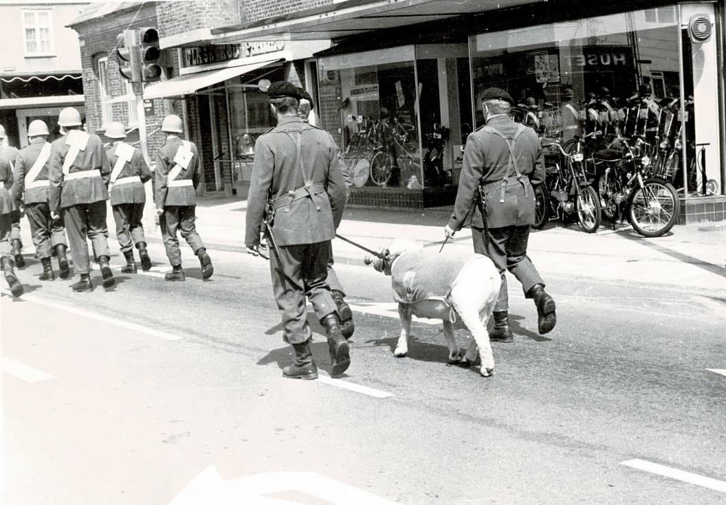 Forsvaret - Den Gamle Eg